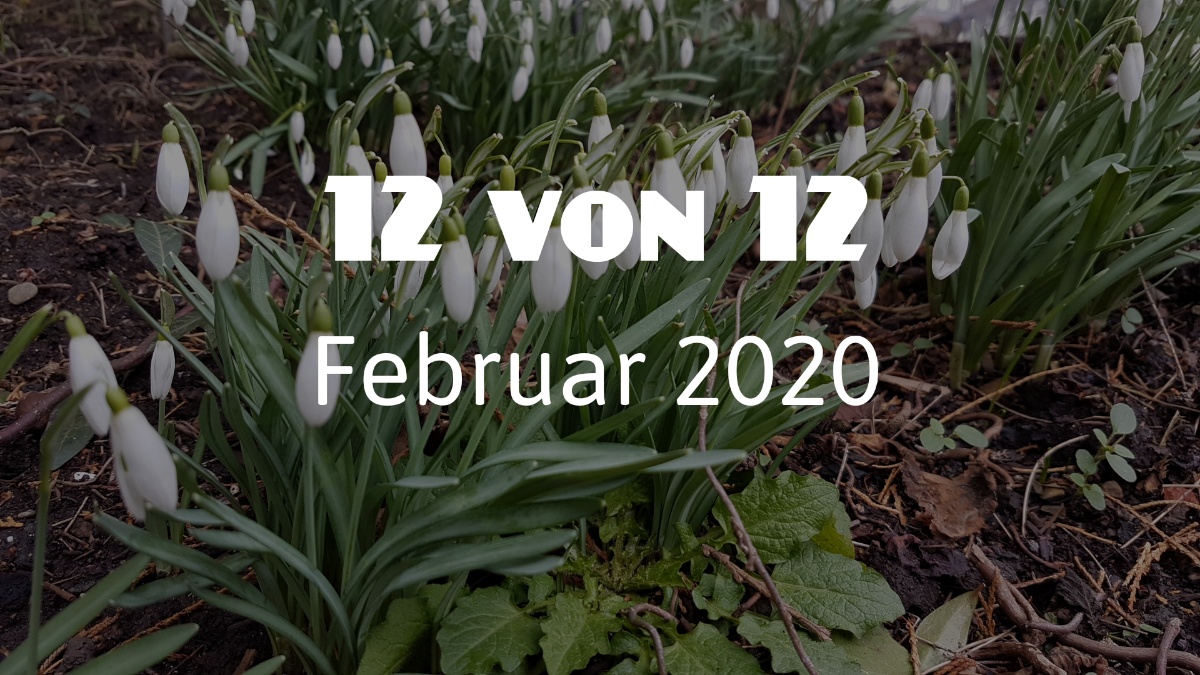 12 von 12 im Februar 2020 • nullpunktzwo